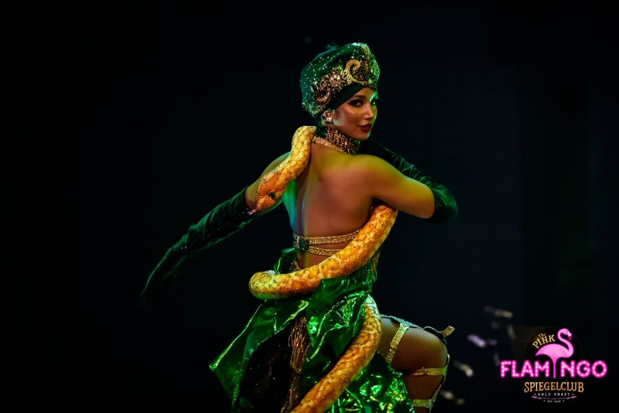 Forbidden - Pink Flamingo Gold Coast