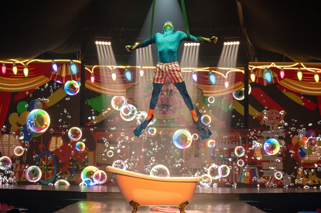 Circus Fun House - The Show - Pink Flamingo Gold Coast