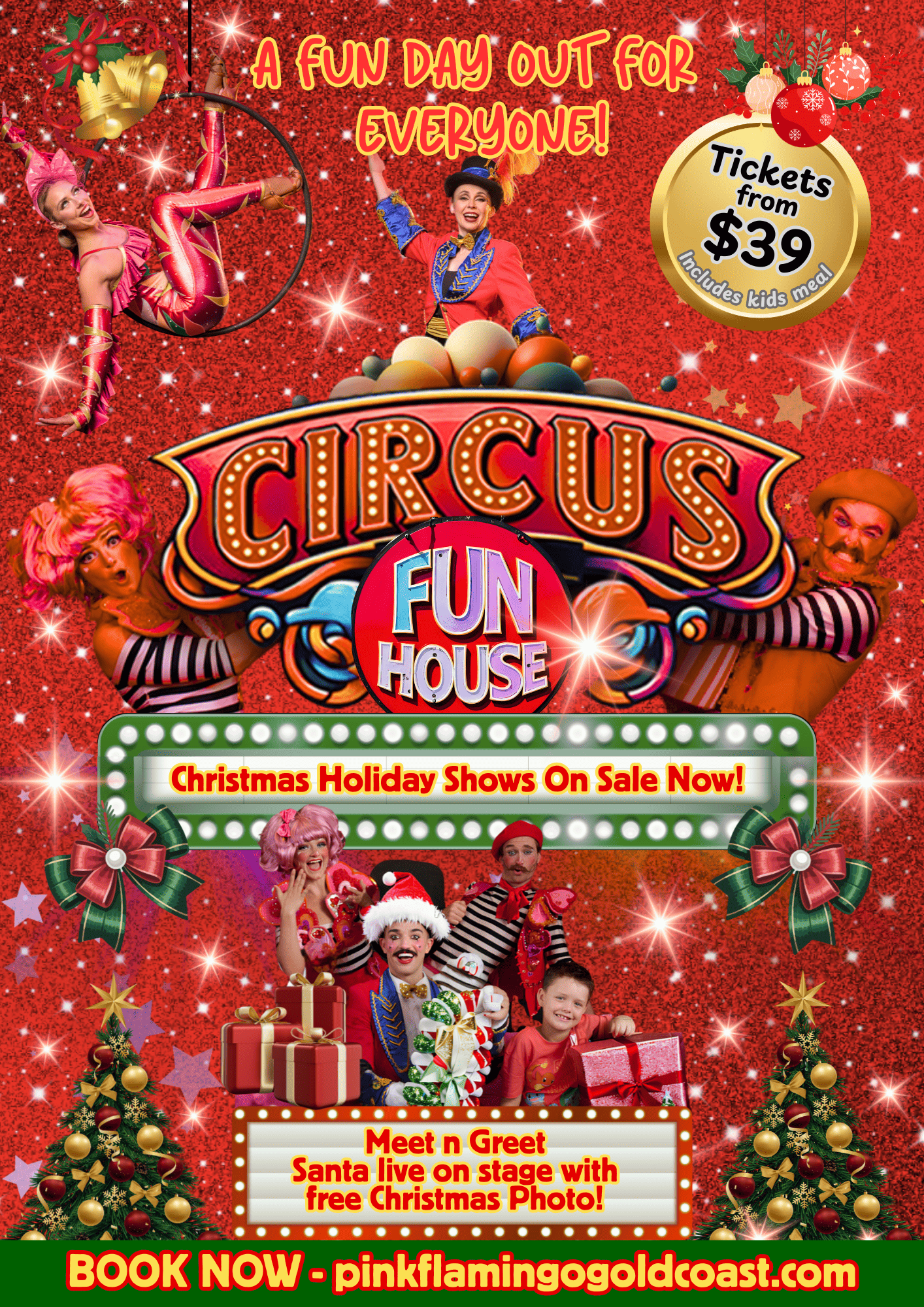 Circus Fun House - The Show - Pink Flamingo Gold Coast